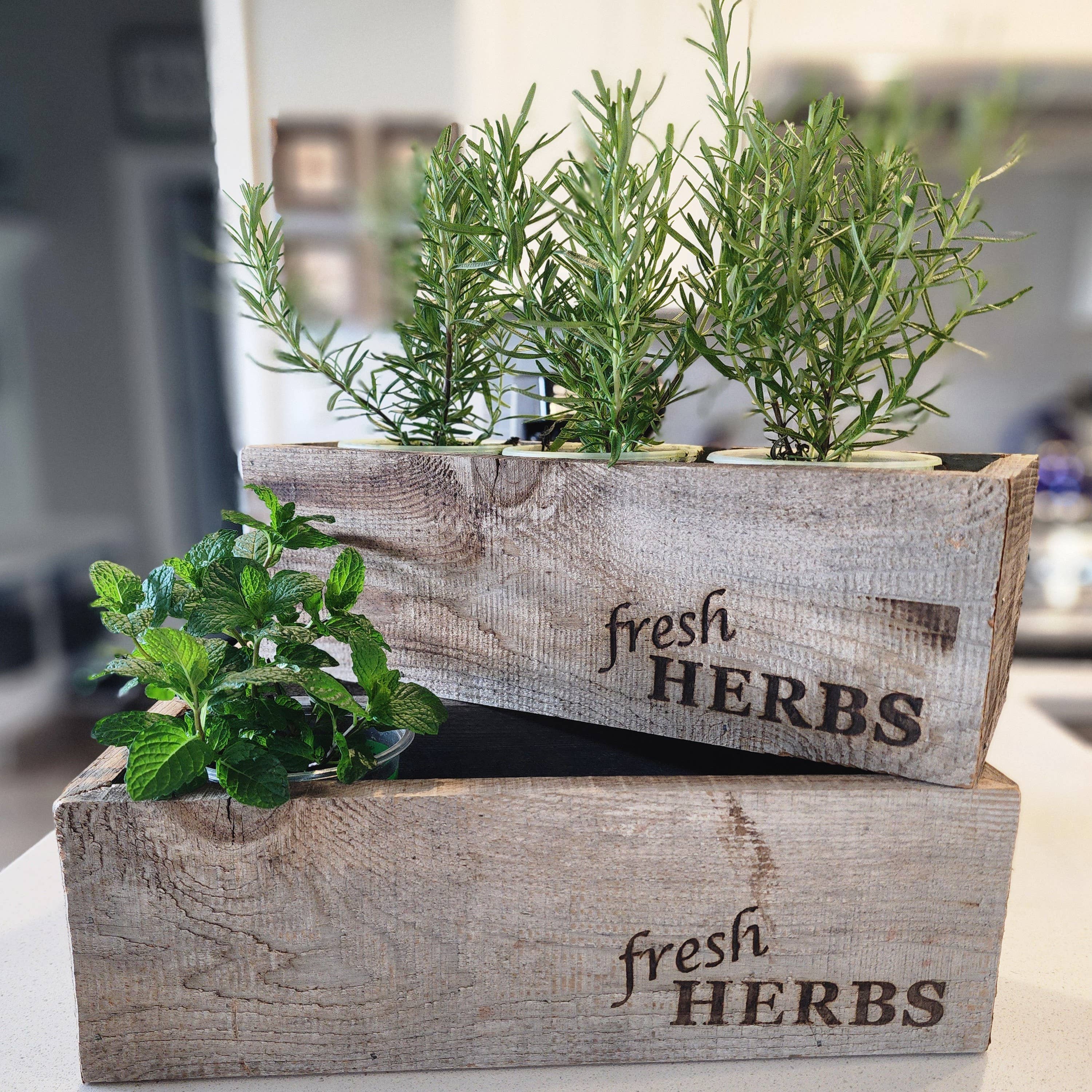 Reclaimed Wood Rustic Herb Planter - Trough | Farm Lot 59